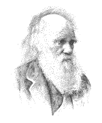 2006 Darwin Award Winners. - Neatorama