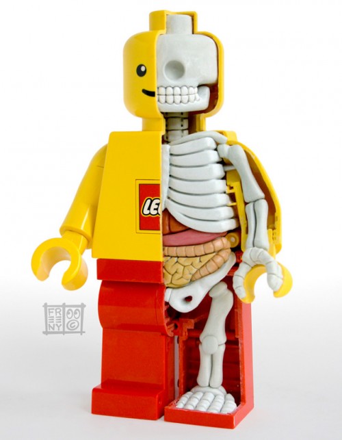 Internal Anatomy Of A LEGO Person - Neatorama